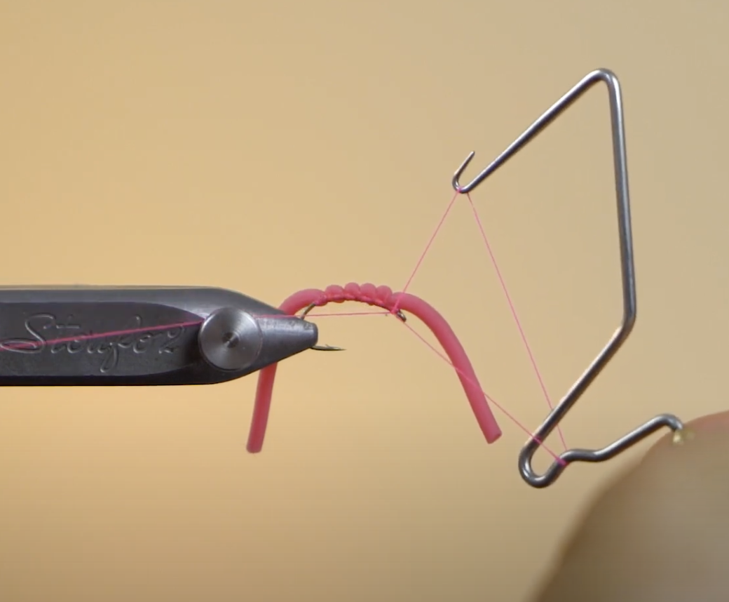 Steps by Step Guide: Fly Tying for Beginners The SQUIRMY WORMY — Fly Life Media